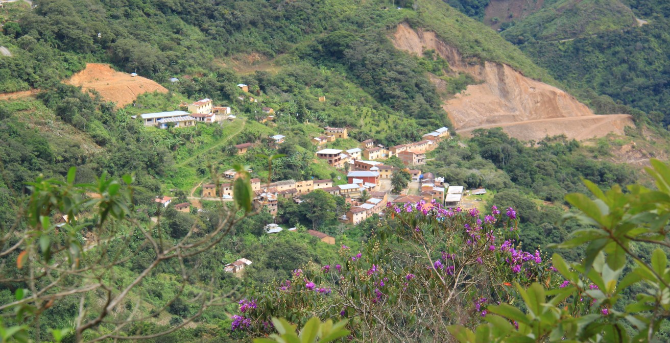 YUNGAS | BASEhabitat